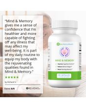 Mind & Memory Supplements｜Improve Focus｜Ben's Natural Health Bens ...